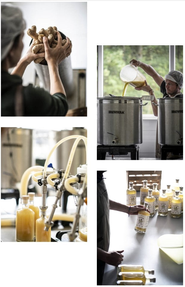 GINGER JACK 🪓 Ready-to-drink GEMBER! – Ginger Jack